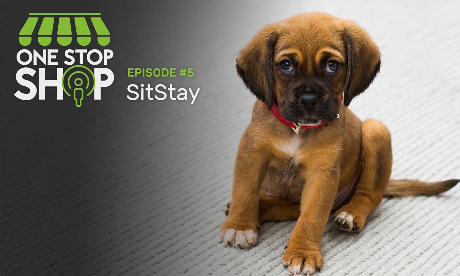 Now You Can Build Customer Loyalty | Conversio Ecommerce Podcast